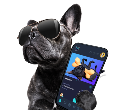 Create a 3D avatar NFT of your real pet - ClassicDoge